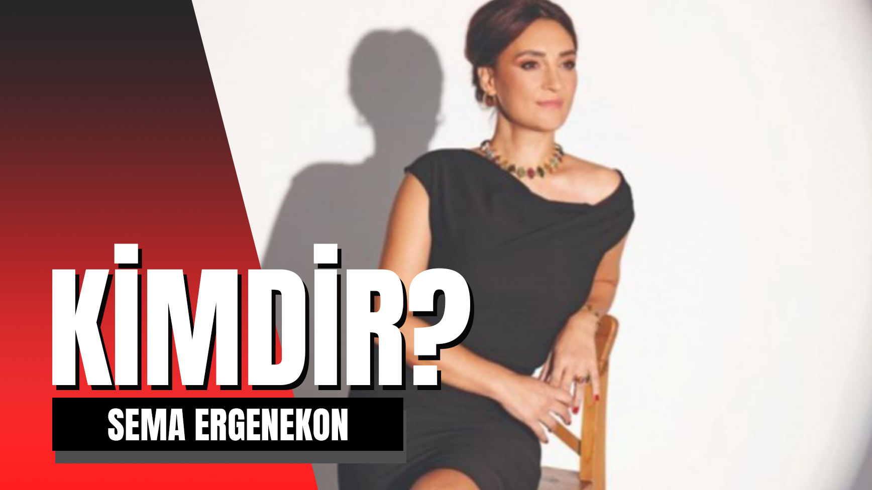Sema Ergenekon Kimdir? Evli Mi? Eşi Kim? Yazdığı Diziler Neler ...