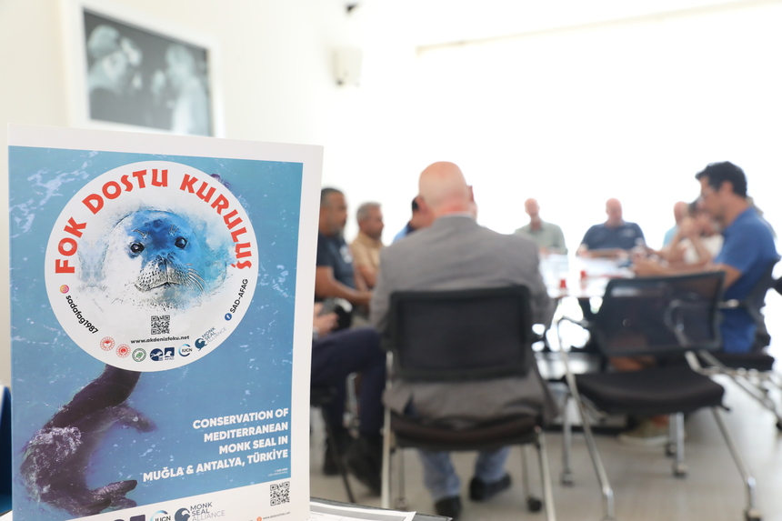 Antalya Büyükşehir harekete geçti! Sup Board artık fok düşmanı ...