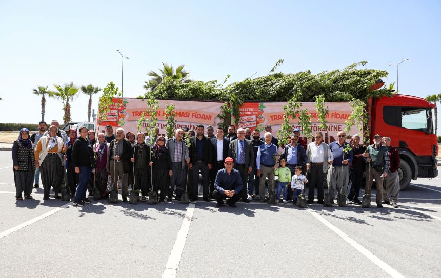 Mersin'de 5 bini aşkın Trabzon hurması fidanı toprakla buluşuyor ...